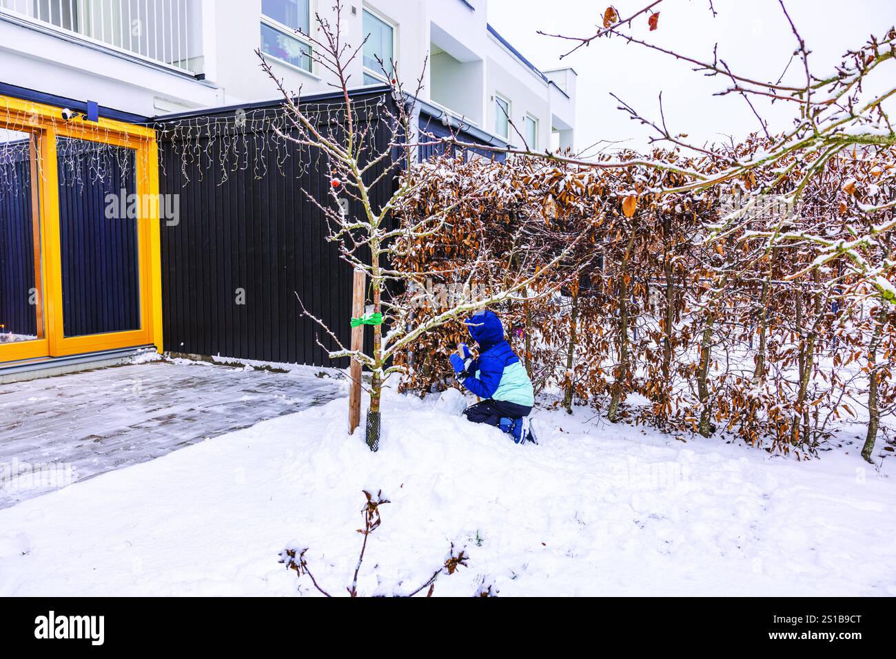 Child in blue winter jacket playing with snow under tree in snowy ...