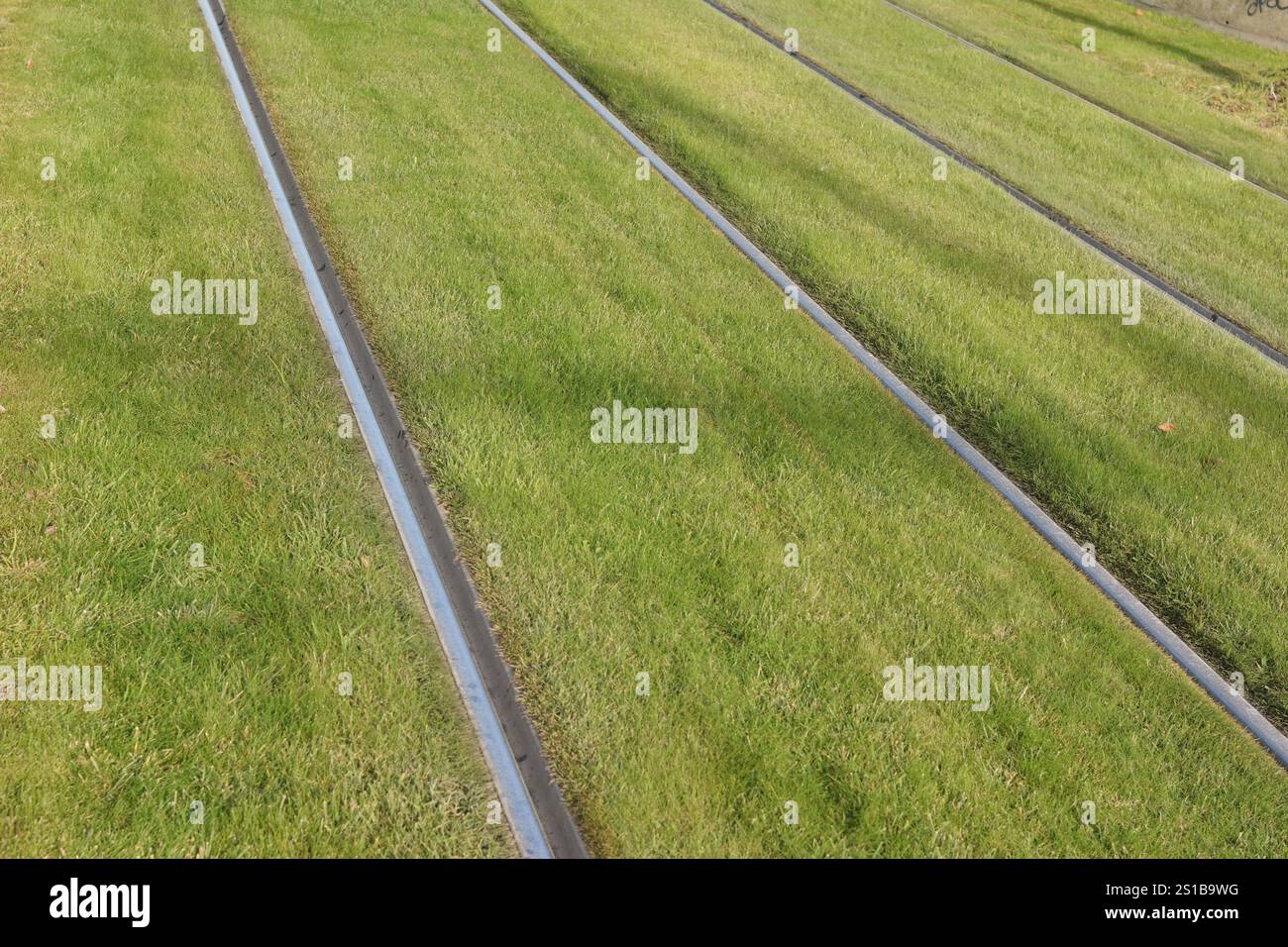 tram line Rails green grass way background Stock Photo - Alamy