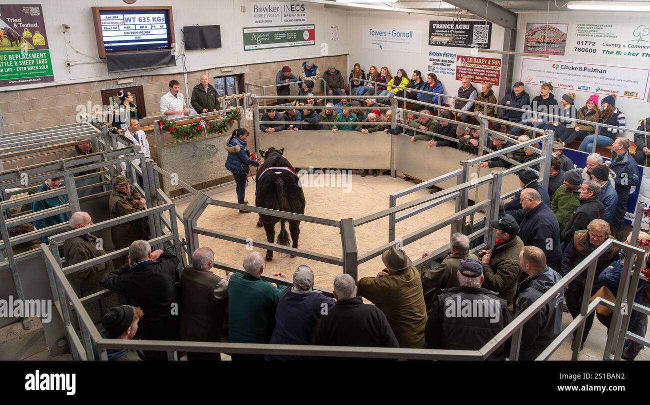 Livestock sale at Brock Auction Mart, near Preston, Lancashire, UK ...