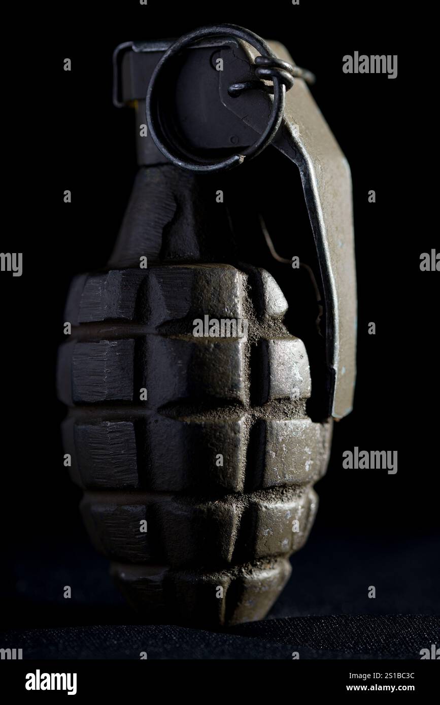 Close-up of an American World War Two "pineapple" hand grenade. The ...