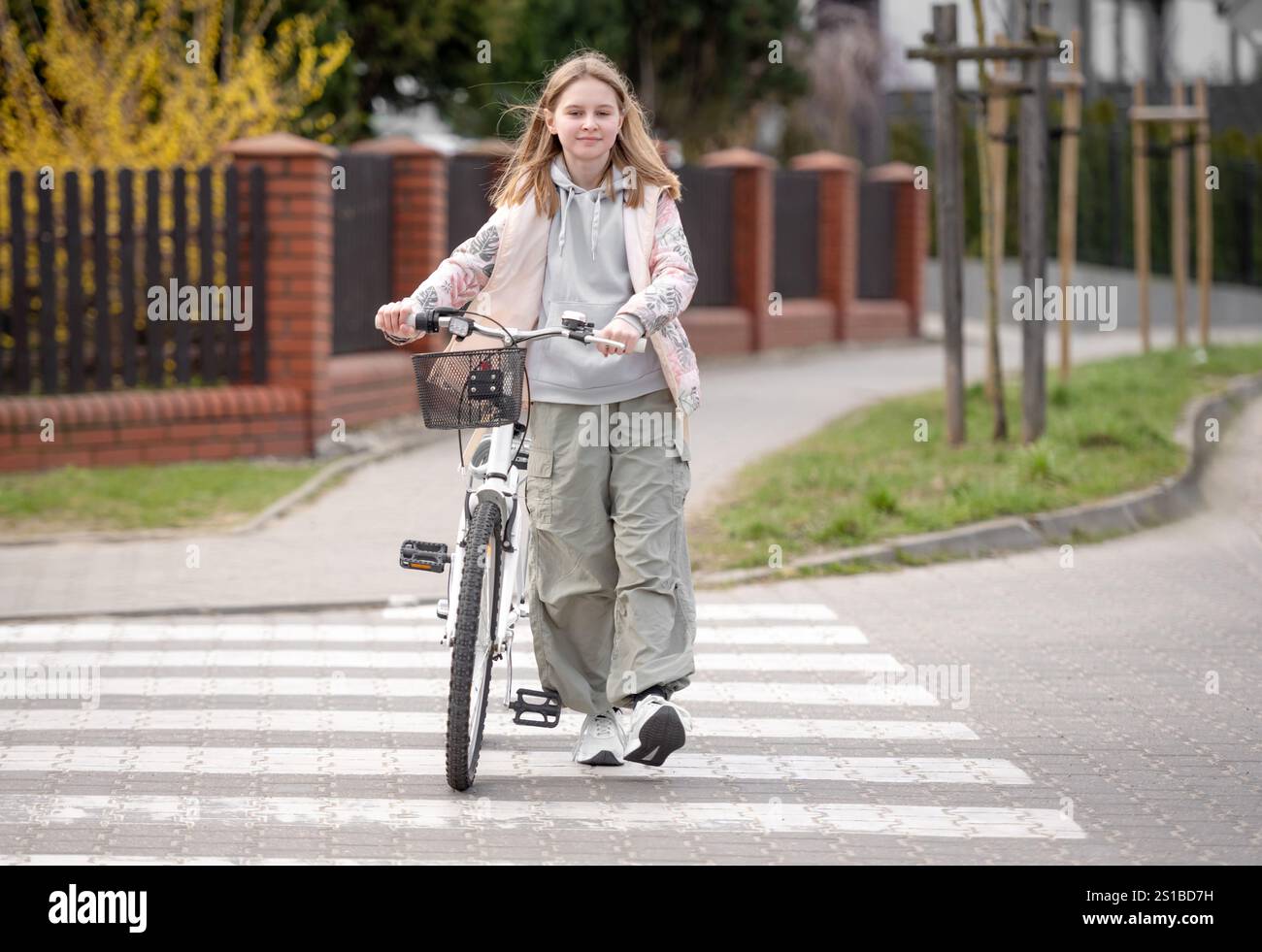 Girl Crosses Road On Pedestrian Crossing With Bicycle In Spring Stock ...