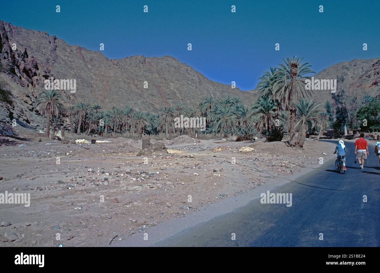 Wadi Feiran, Sinai Peninsula, Egypt, September 1989 Stock Photo - Alamy