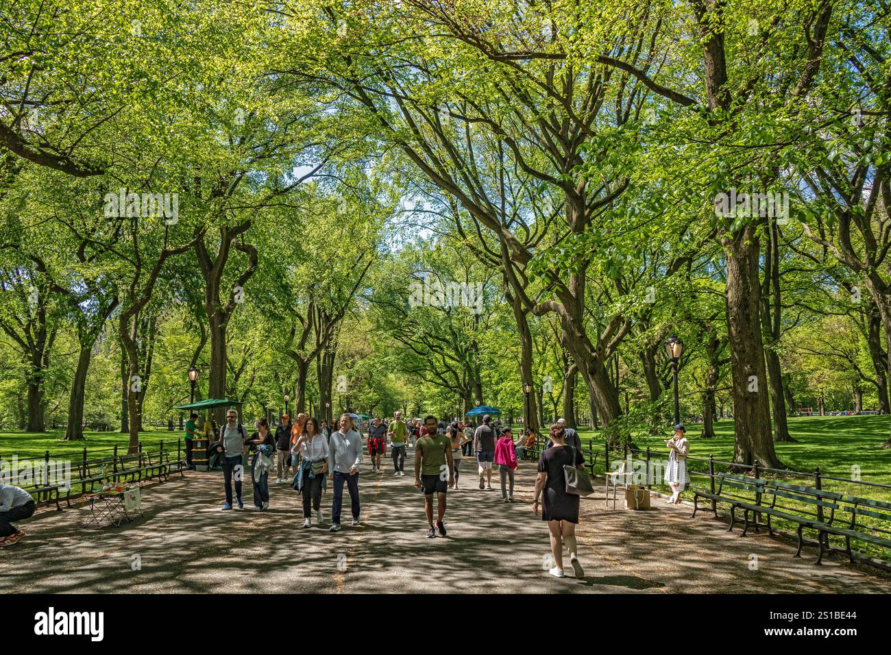 Crowds enjoying springtime along The Mall and Literary Walk, Central ...