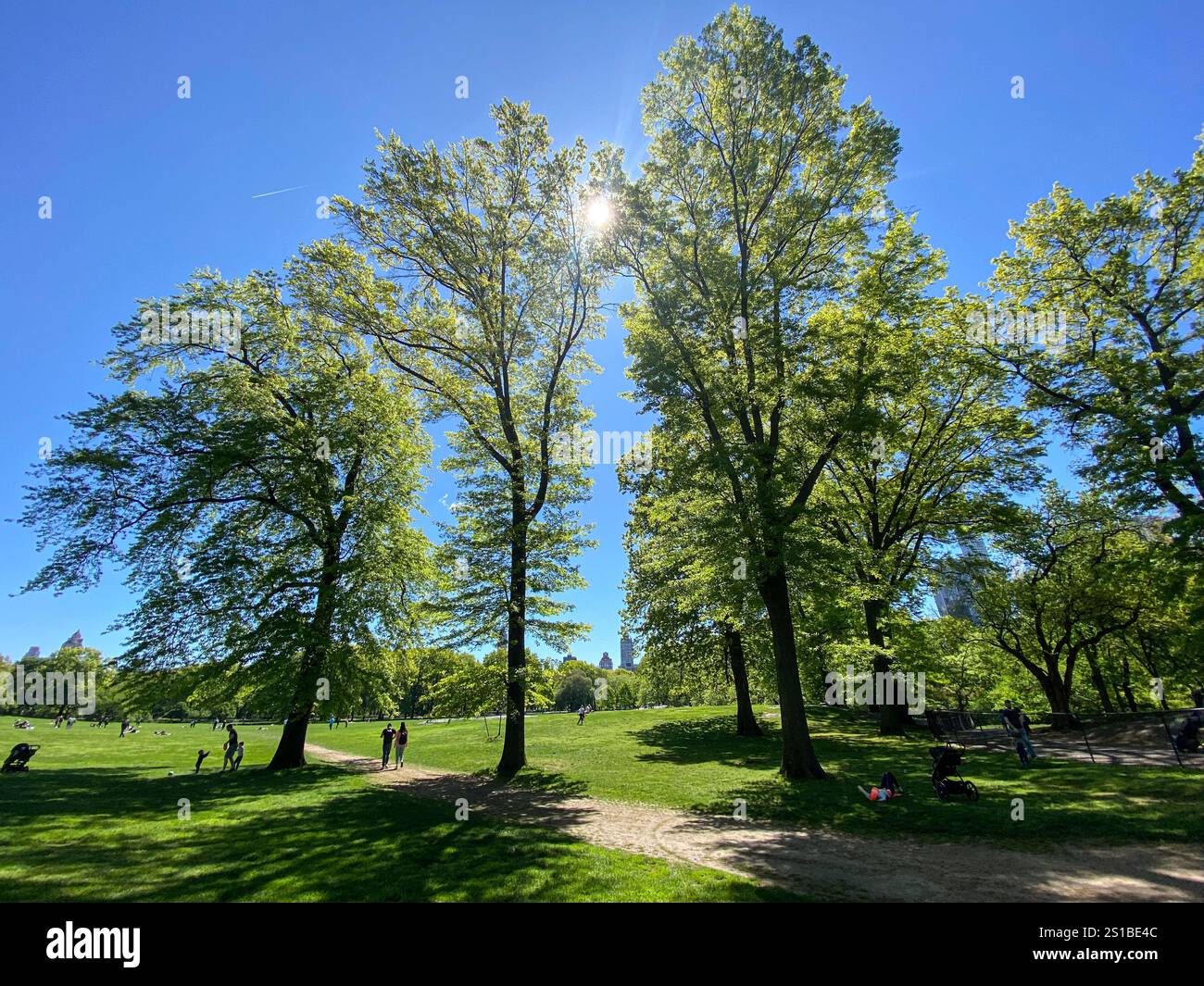Springtime at Sheep Meadow, Central Park, Manhattan, New York City ...