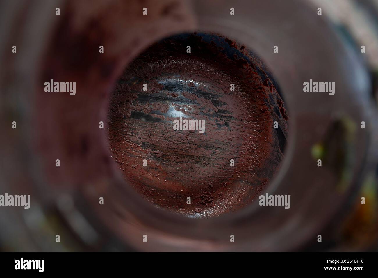 Spent wine yeast after filtration and purification with gelatin hi-res ...