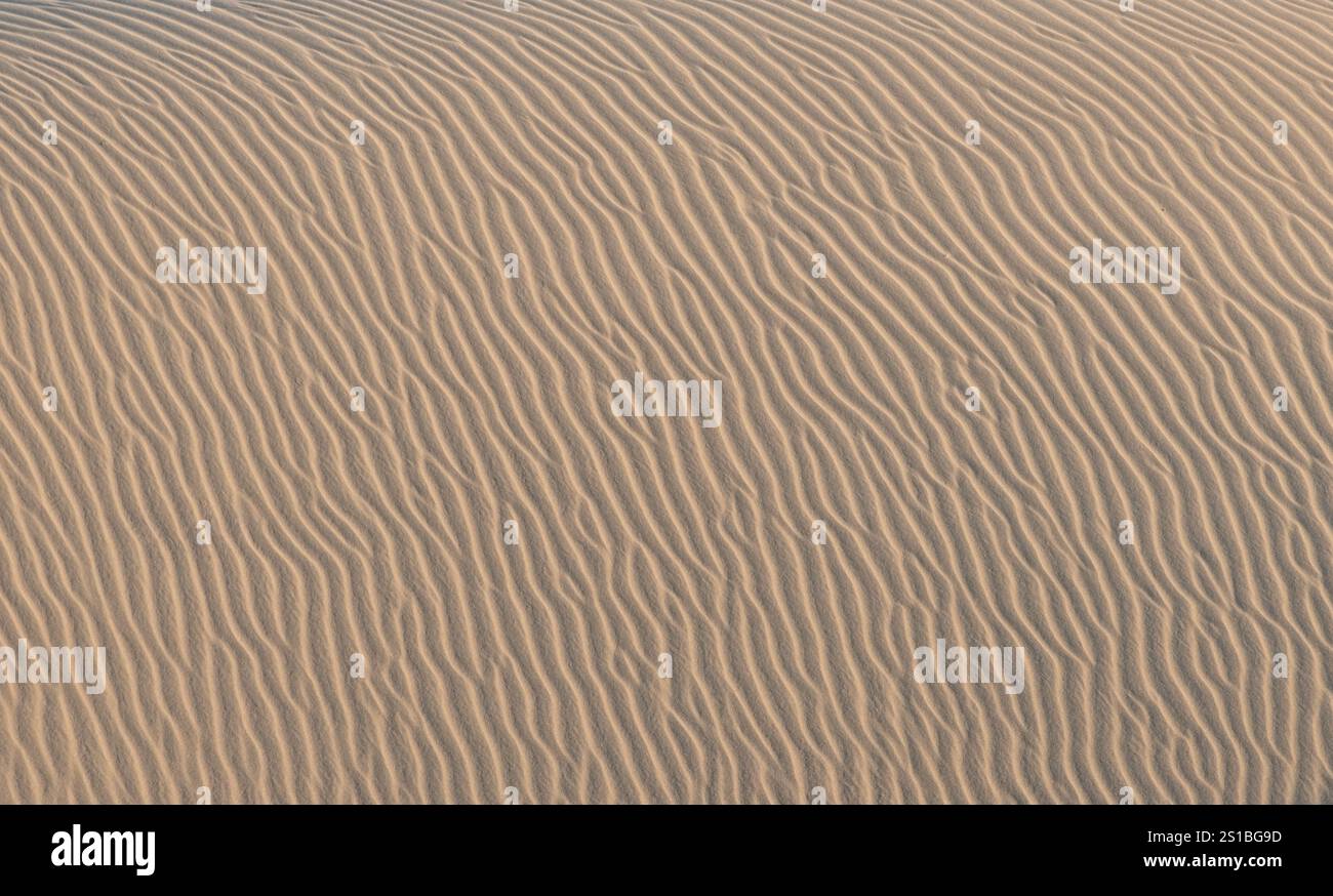 Light patterns on the sand of dune. Sand texture. Sandy beach for the ...