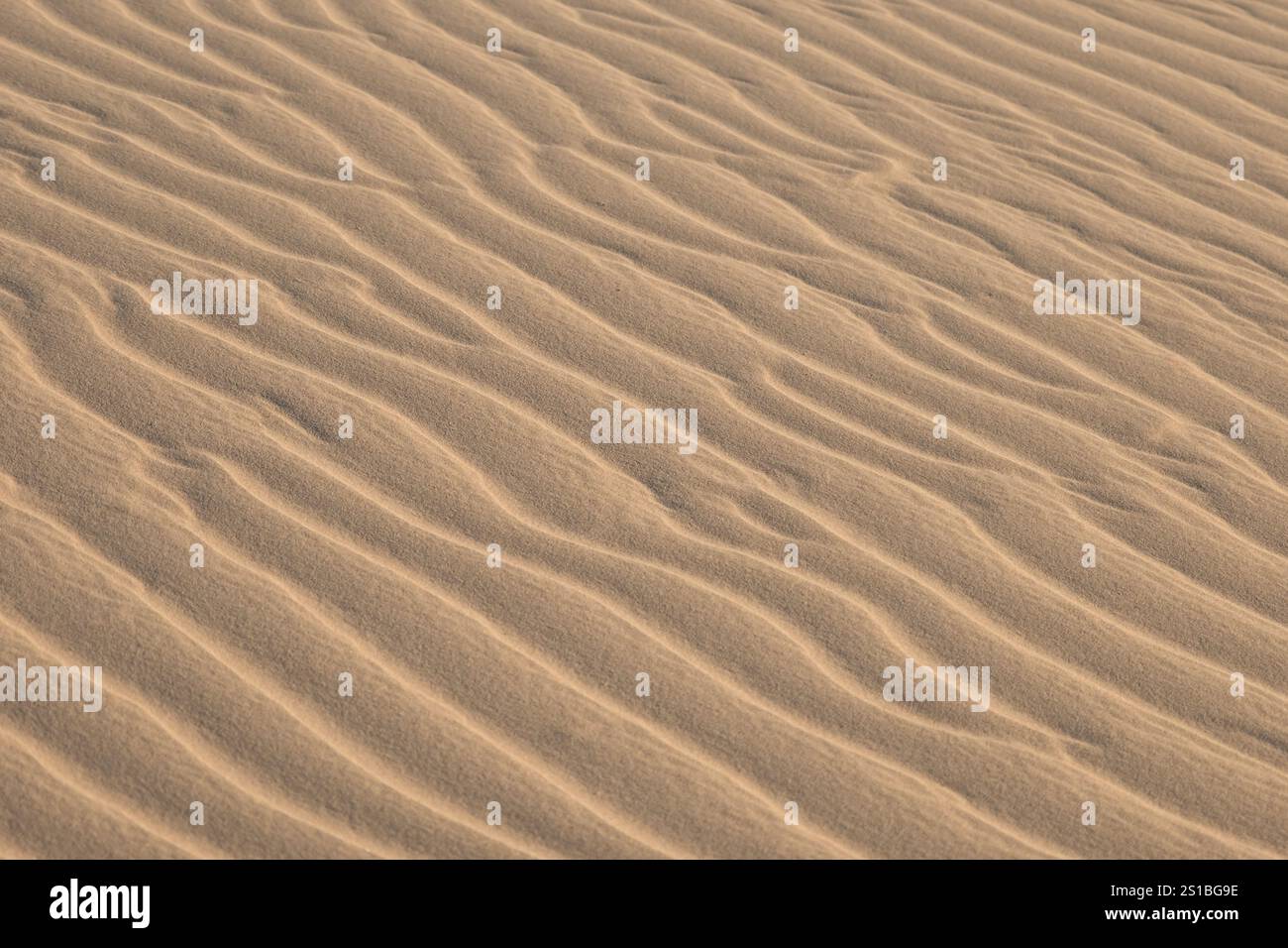 Light patterns on the sand of dune. Sand texture. Sandy beach for the ...