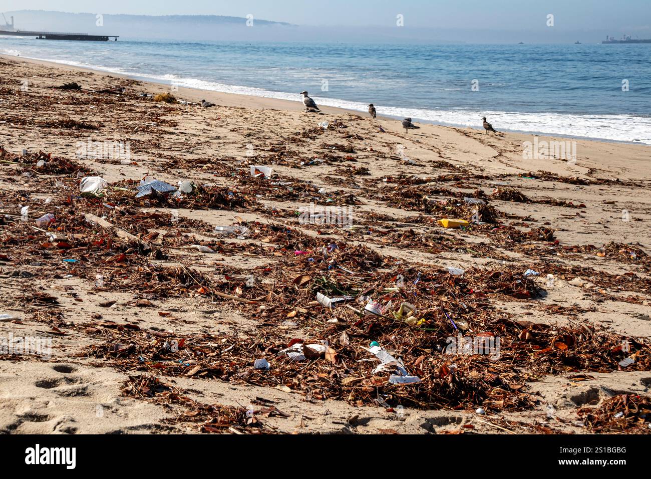 Trash and plastic on beach in Playa Del Rey that washed up the day ...