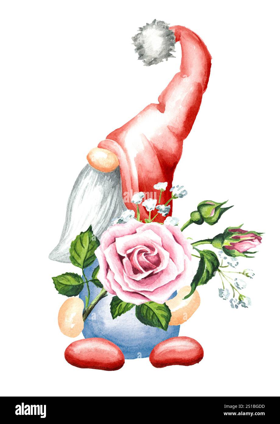 Cute gnome with rose flowers. Watercolor hand drawn illustration ...