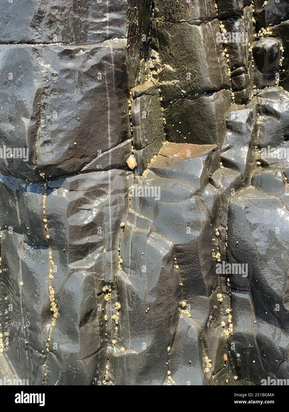 Rock background texture. Coastal rock formation Stock Photo - Alamy