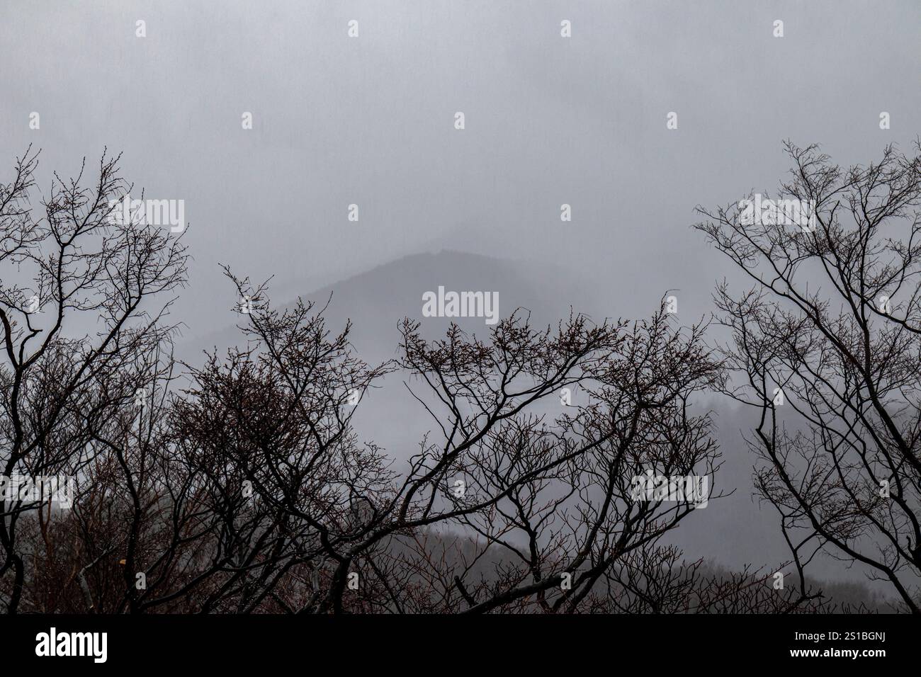 ⁨Fuji-Hakone-Izu National Park⁩, ⁨Hakone⁩, ⁨Kanagawa⁩, ⁨Japan⁩ Stock ...