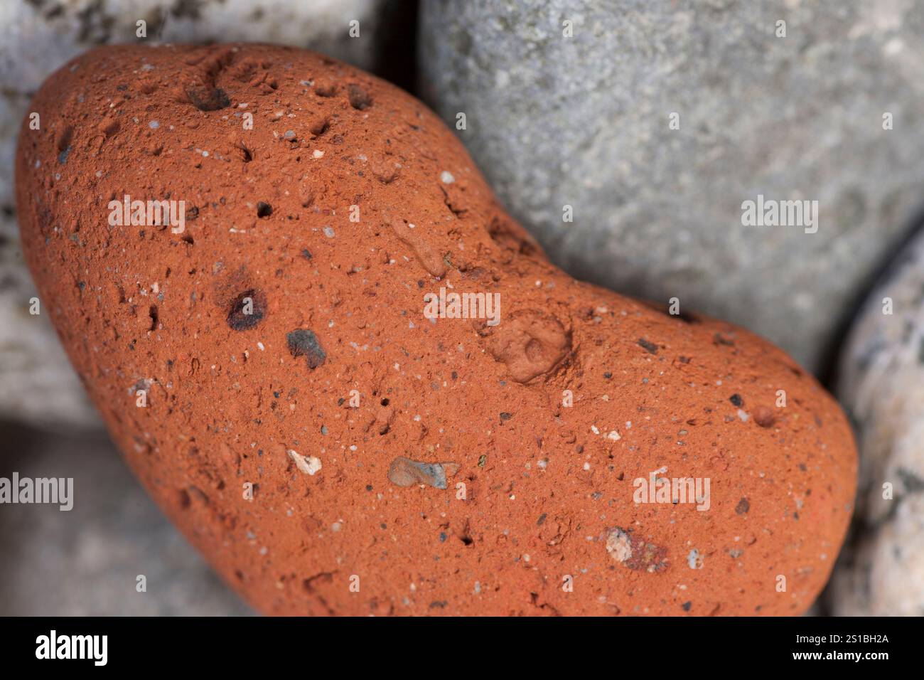Beach rocks on a beach Stock Photo - Alamy