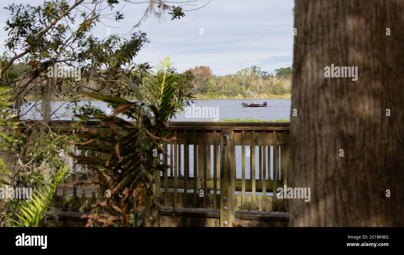 Bass boat driving with cypress tree and wood walking path in foreground ...
