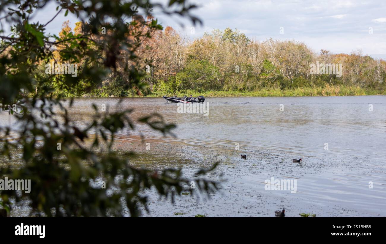 Bass boat driving in lake Stock Photo - Alamy