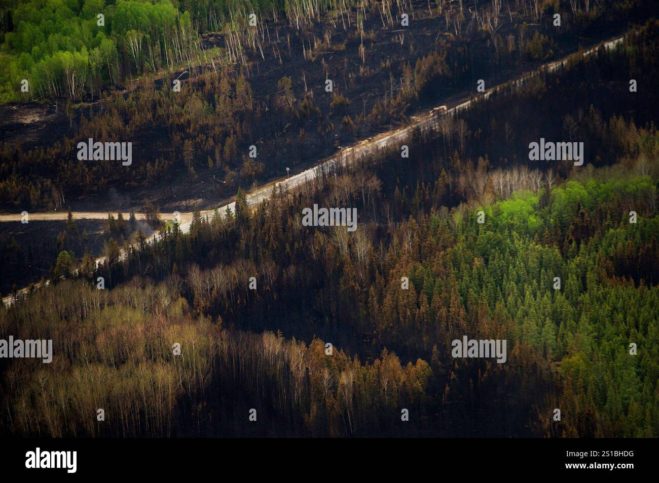 Timmins, Canada. 27th May, 2012. A new study suggests Canadian forests ...