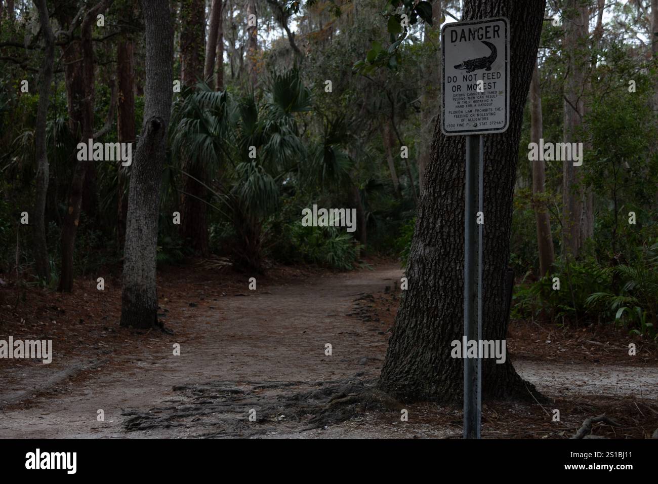 Dirt walking path with gator sign Stock Photo - Alamy
