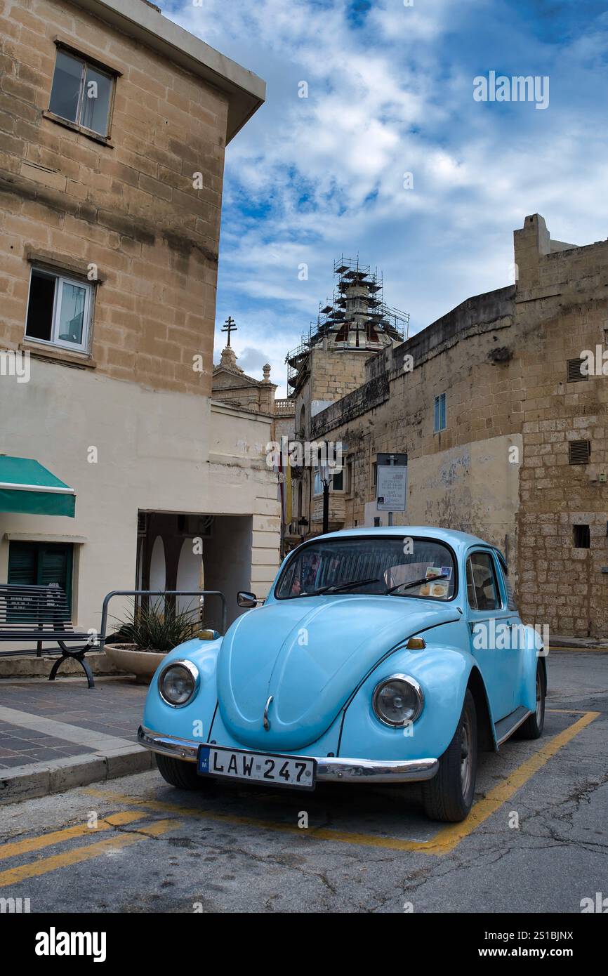 Baby beetle hi-res stock photography and images - Alamy