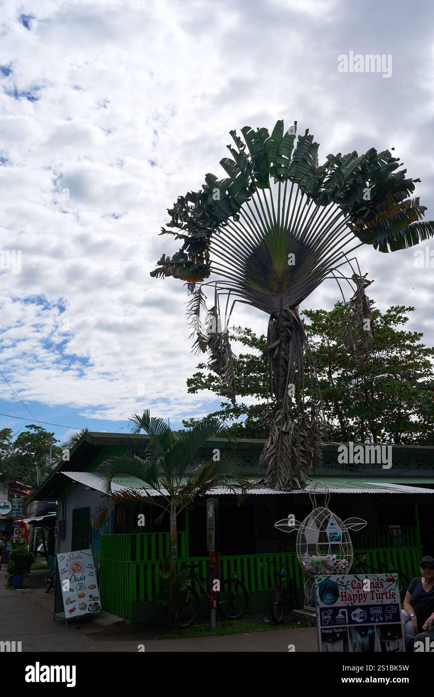 Tortuguero, Costa Rica - November 18, 2024 - Shops and main street in ...