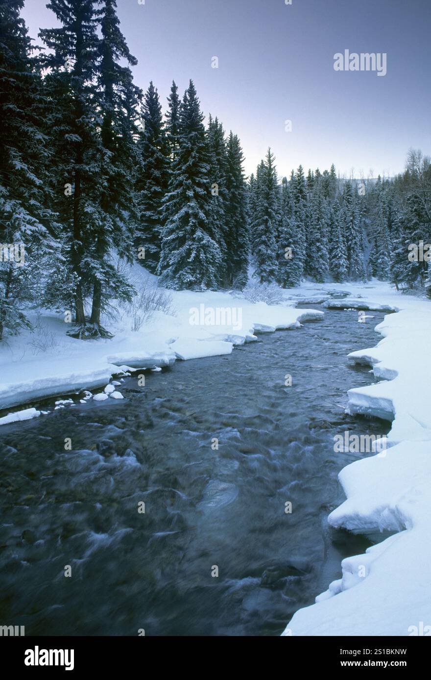 Crystal River, White River National Forest, Colorado, USA Stock Photo ...