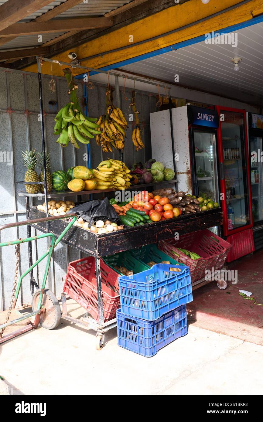 Tortuguero, Costa Rica - November 18, 2024 - Shops and main street in ...