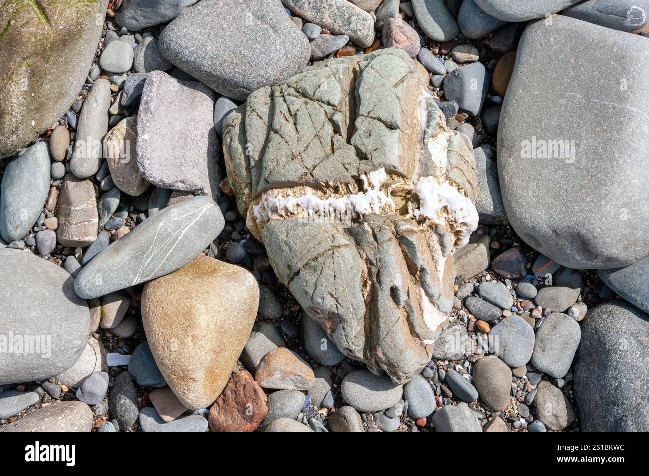 A large rock with a white line on it is on a rocky beach. The rock is ...