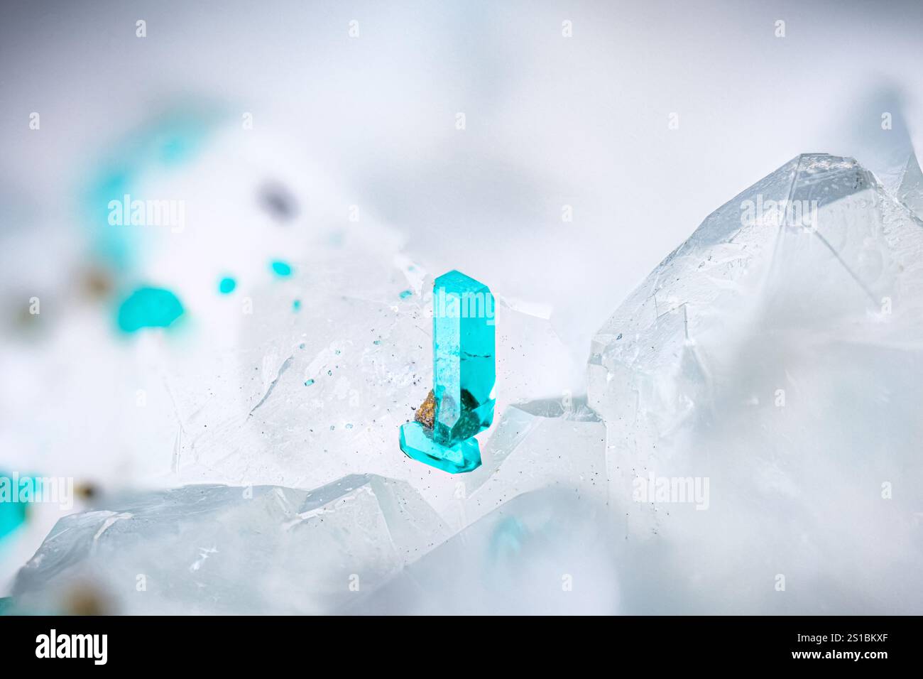 dioptase crystals on quartz. Specimen from DR Congo. Micro photography ...