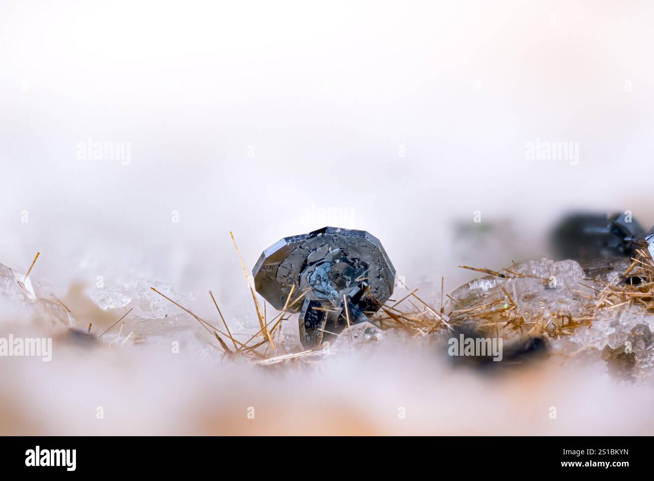 Hematite rose associated with rutile spike. Specimen from Iselle Quarry ...