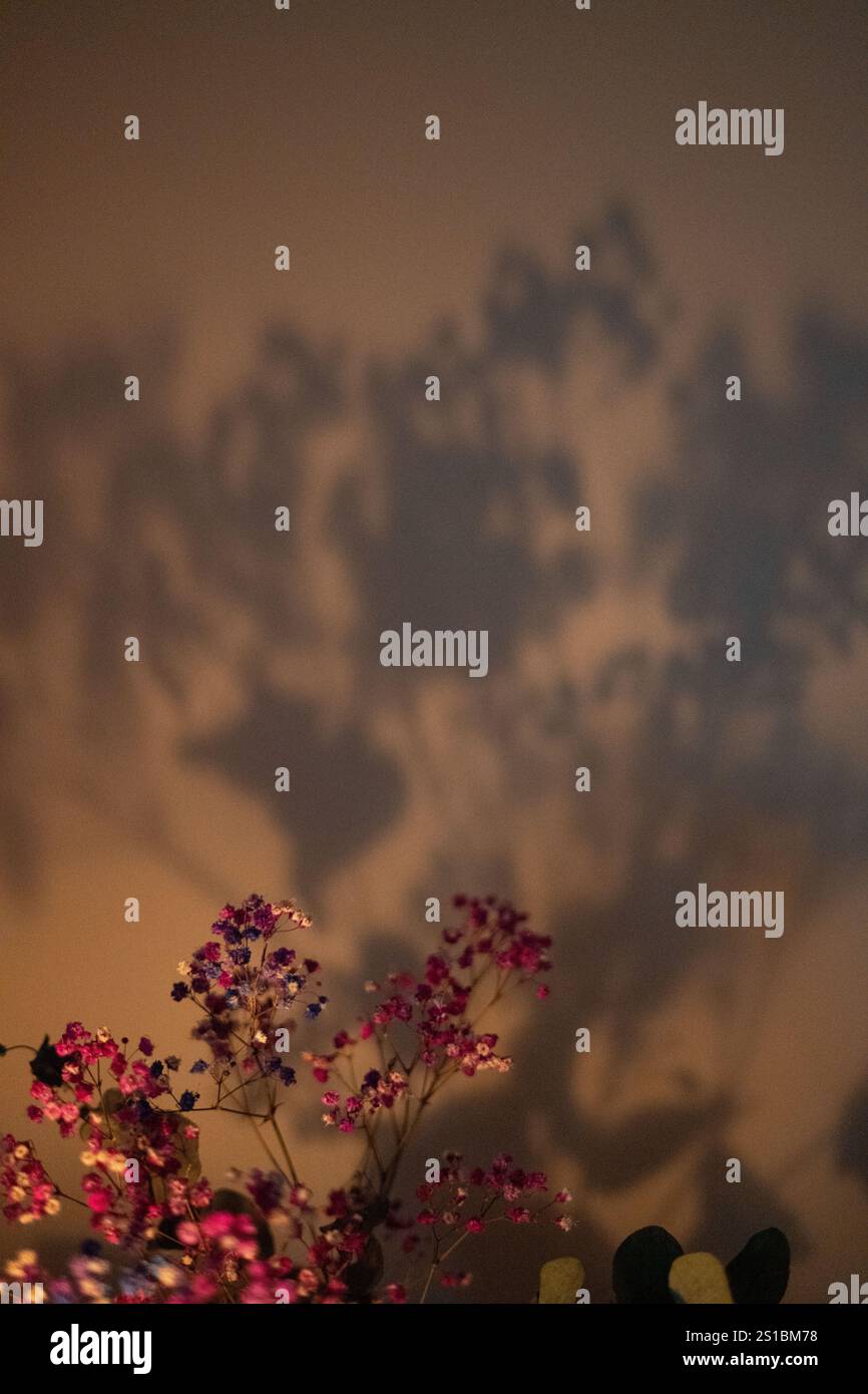 The image shows a dimly lit scene with a small bouquet of colorful ...