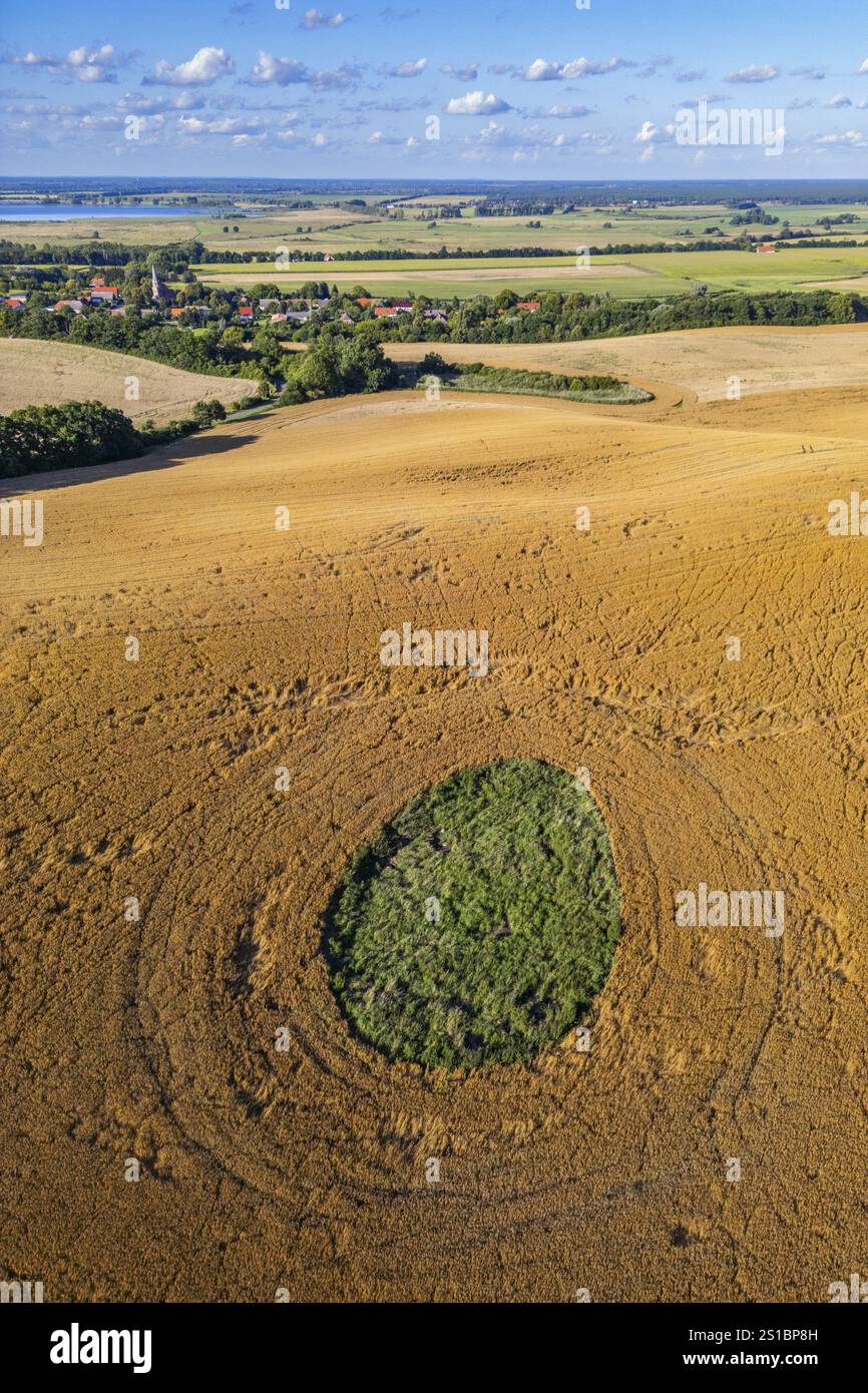 Aerial view, drone photo: Grass growing in a shallow ice hole from the ...