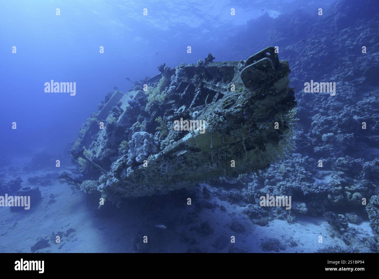 A coral-covered shipwreck of a sailboat lies in the deep blue sea, dive ...