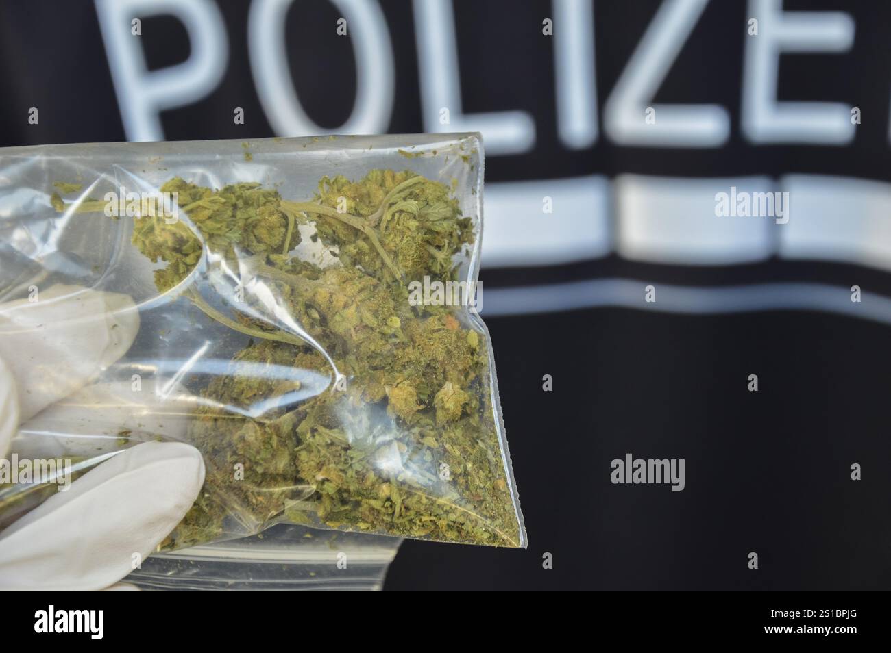 A hand with a disposable glove holds a bag of marijuana flowers. In the ...
