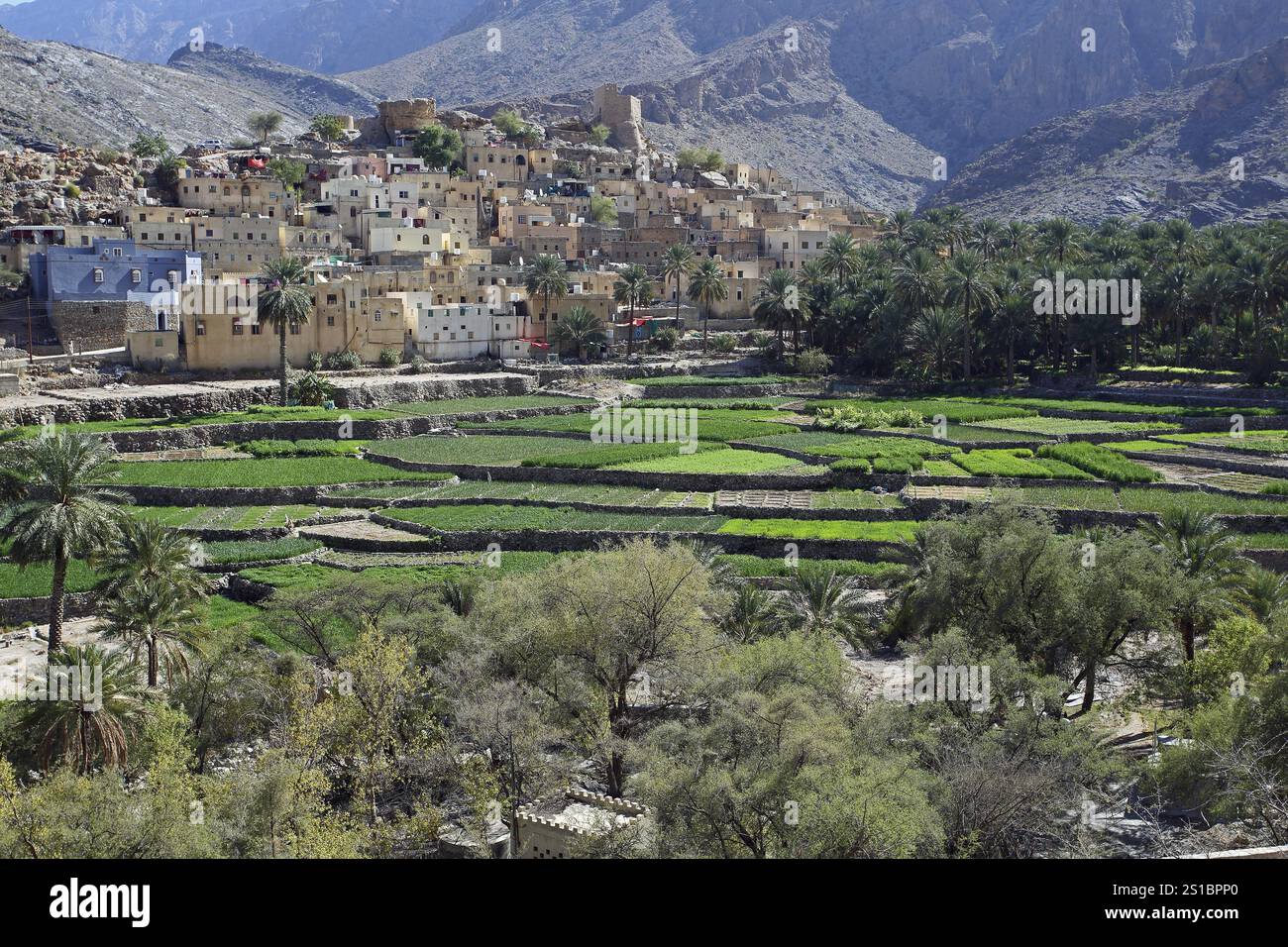Wadis arab hi-res stock photography and images - Alamy