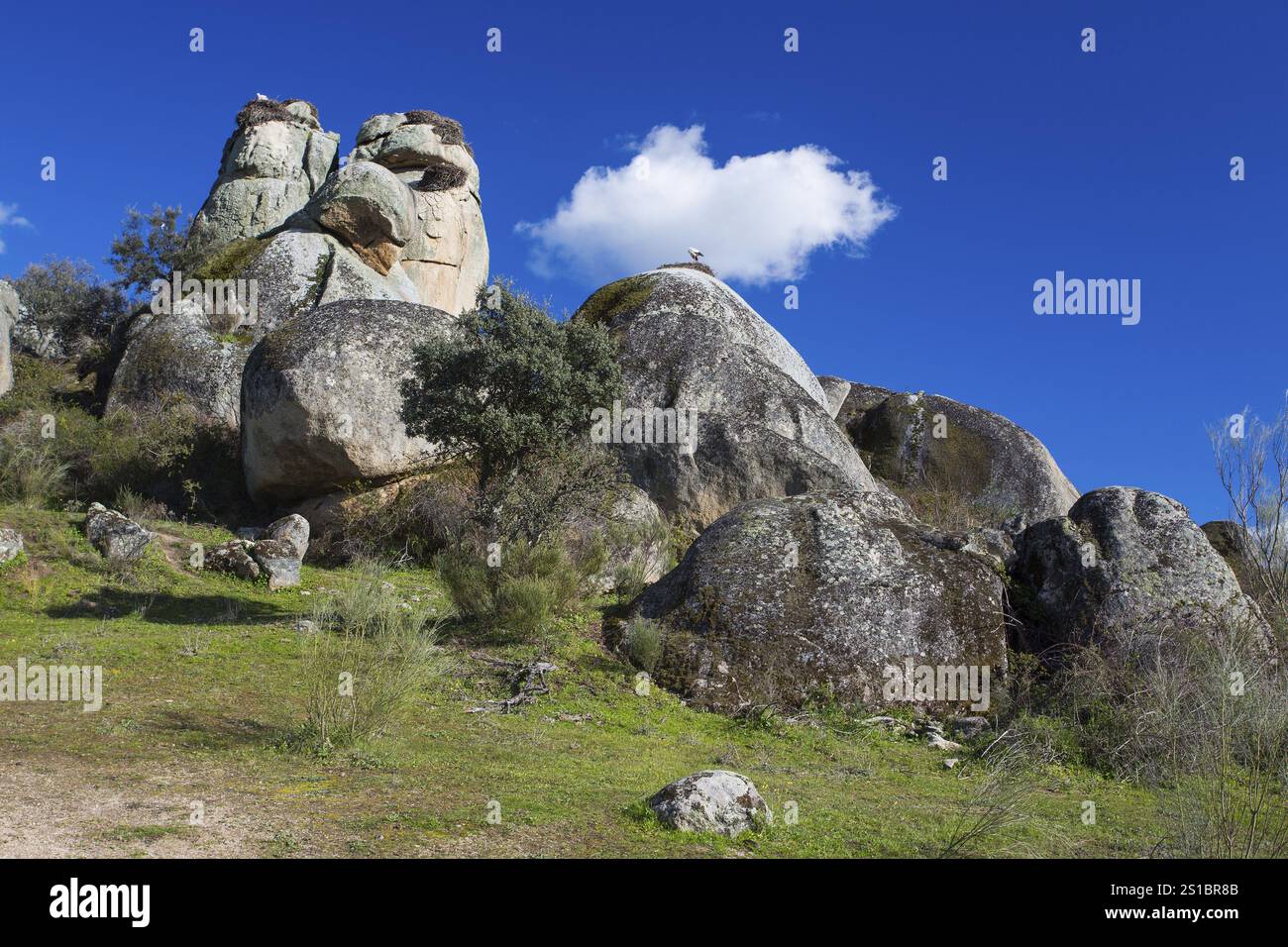 Monumento natural de los barruecos hi-res stock photography and images ...