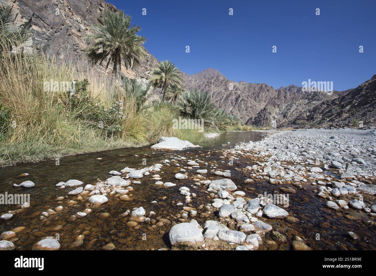 Wadi Abiyad, mountains, river, Oman, Asia Stock Photo - Alamy