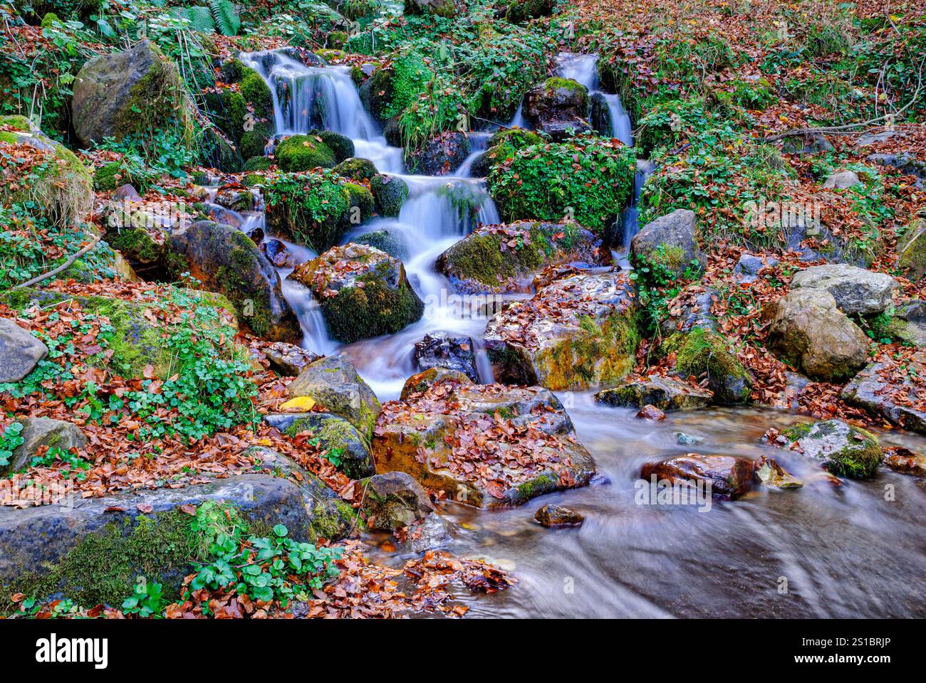 Waterfall. Redes Natural Park and Biosphere Reserve. Caso Council ...