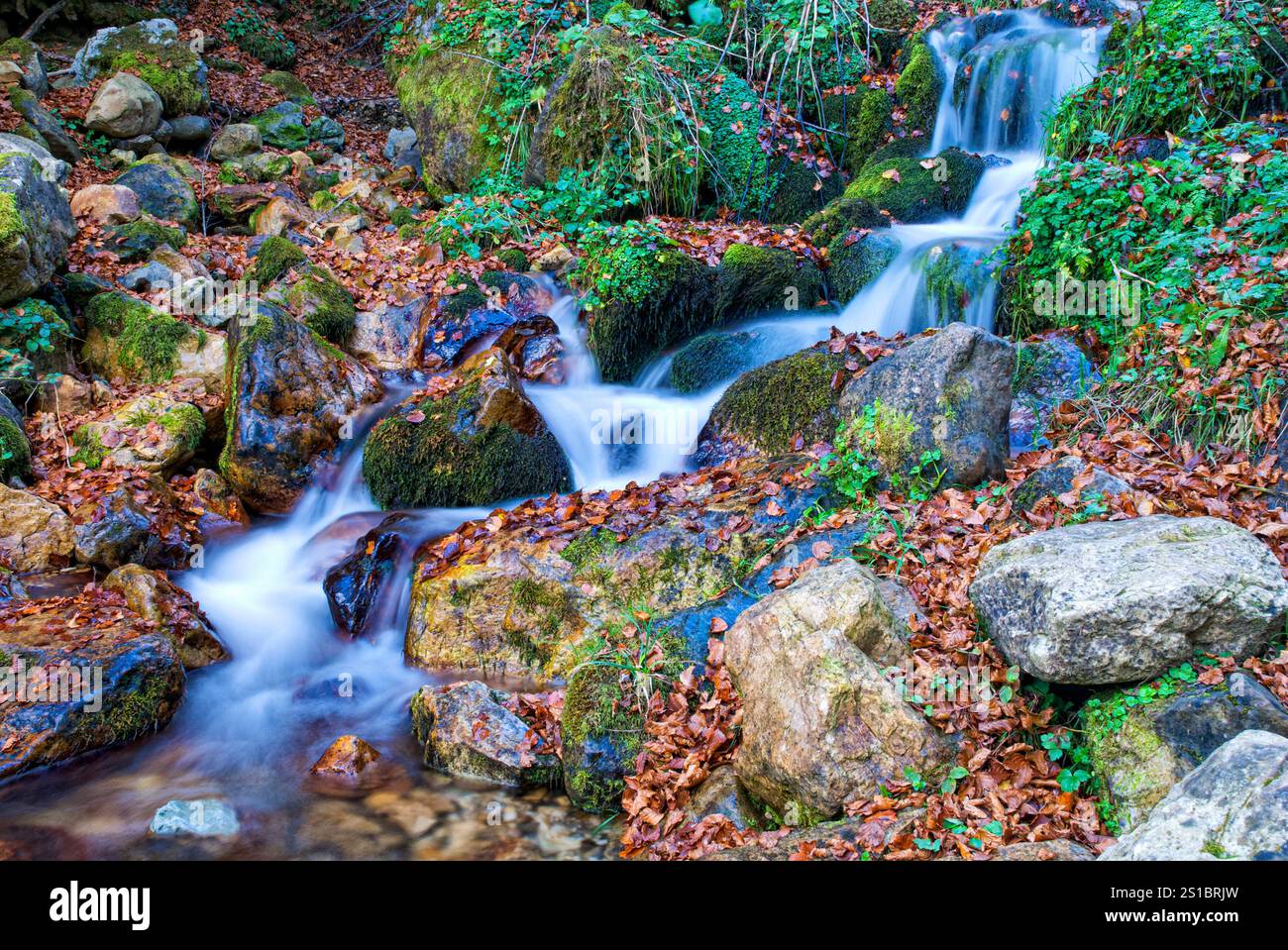 Waterfall. Redes Natural Park and Biosphere Reserve. Caso Council ...