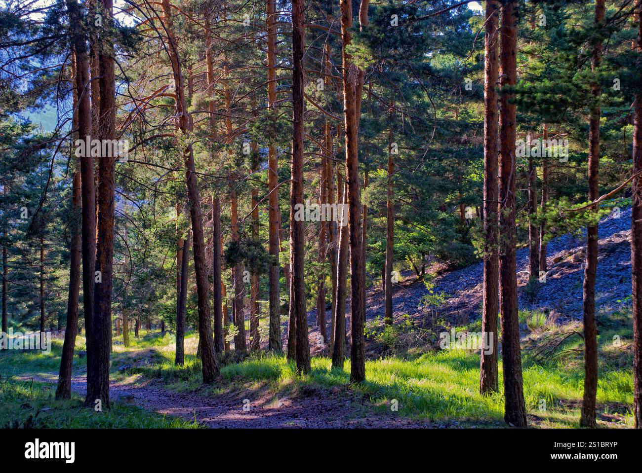 Velilla palencia spain hi-res stock photography and images - Alamy