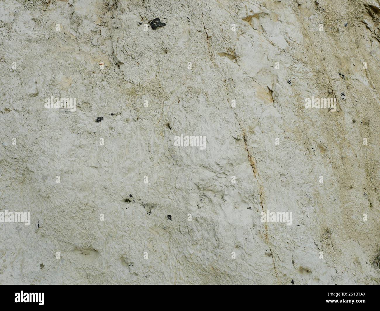 Chalk wall with flint ribbons. Chalk coast of Rügen with its ...