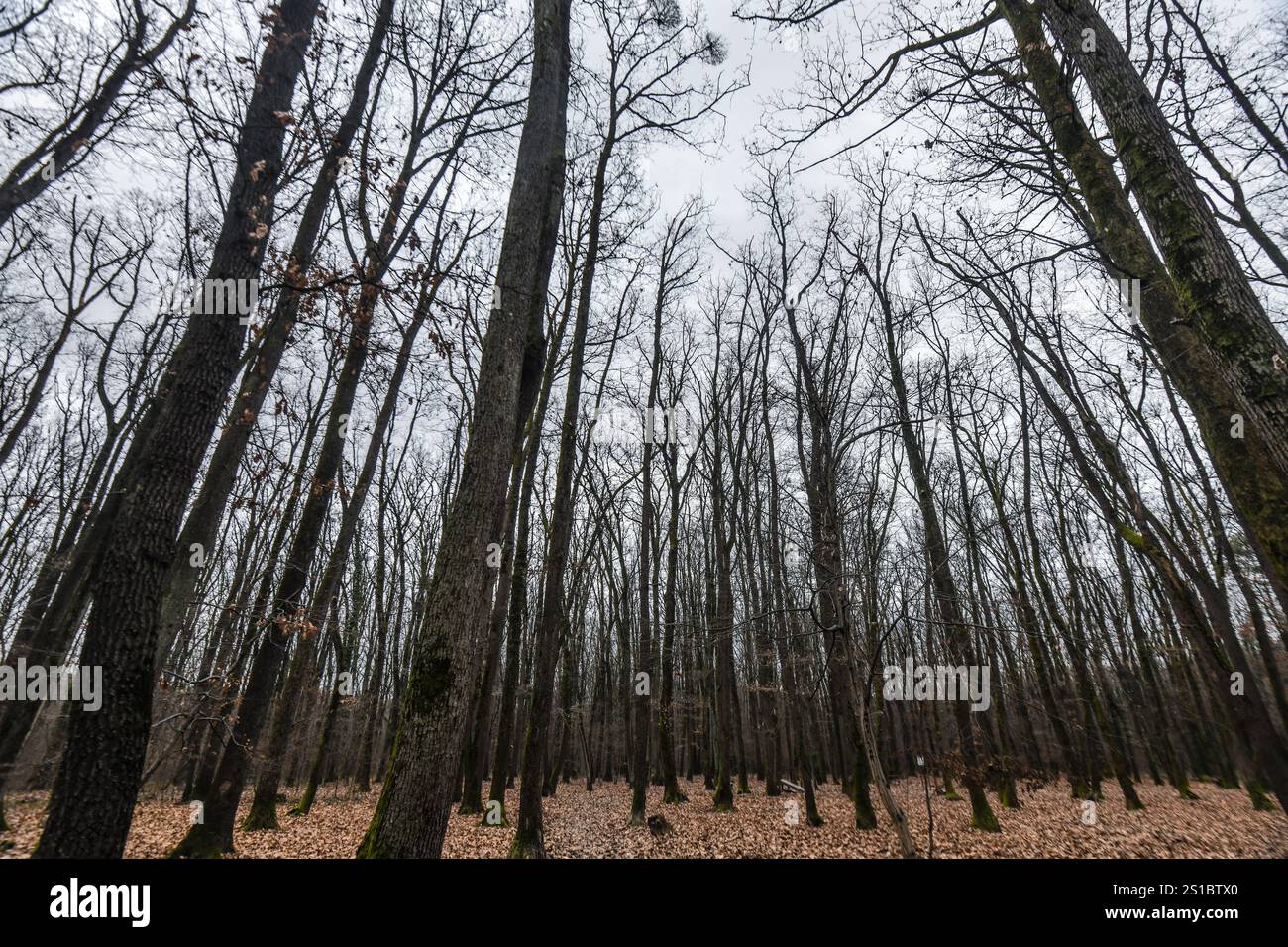 Maksimir neighbourhood hi-res stock photography and images - Alamy