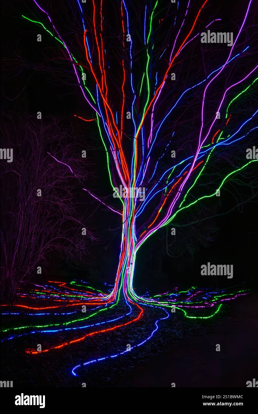 Neon art installation hi-res stock photography and images - Alamy