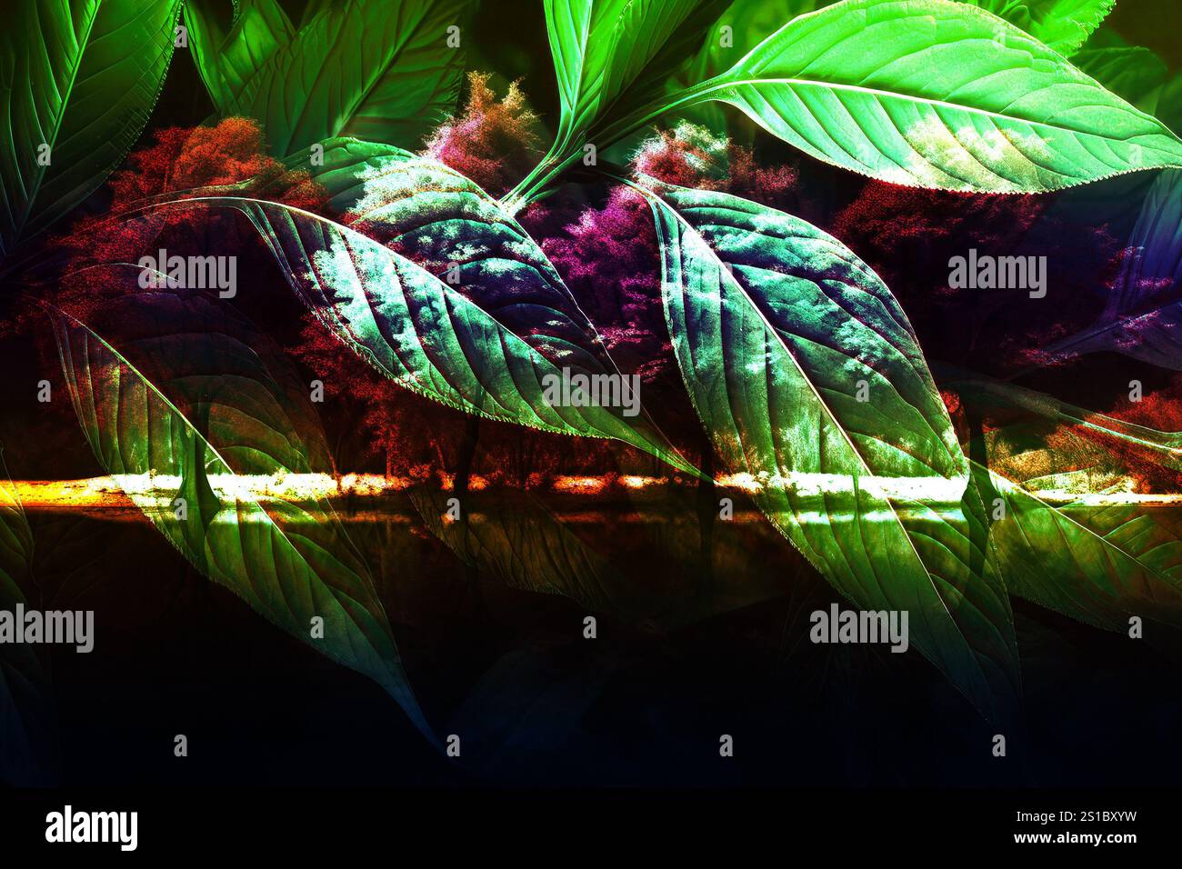 Photoshop manipulation hi-res stock photography and images - Alamy