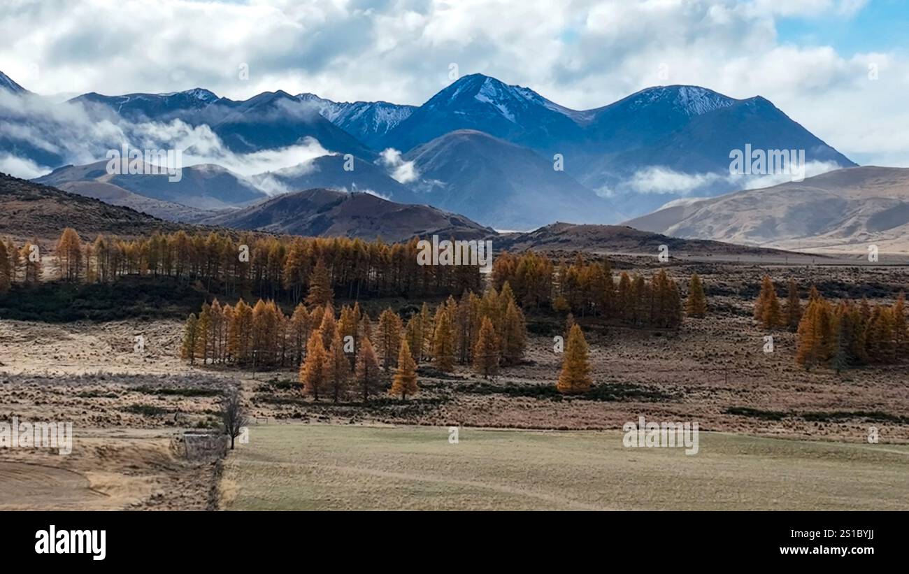 Cave Stream Scenic Reserve is one of the most outstanding natural ...