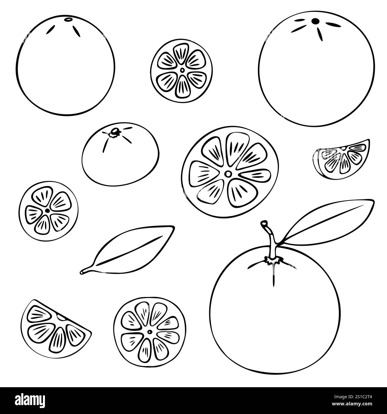 Orange fruit doodle set. Oranges, clementines, half, whole, slices ...
