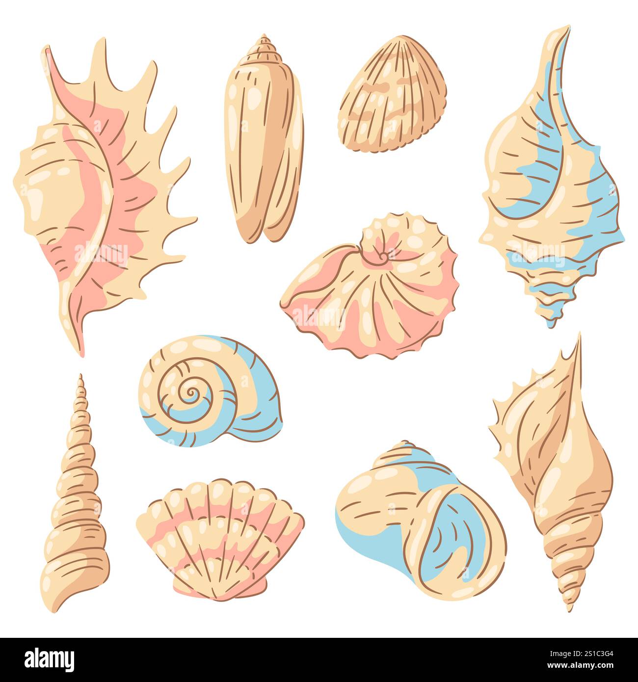 Set of seashells. Tropical underwater mollusk shells illustration Stock ...