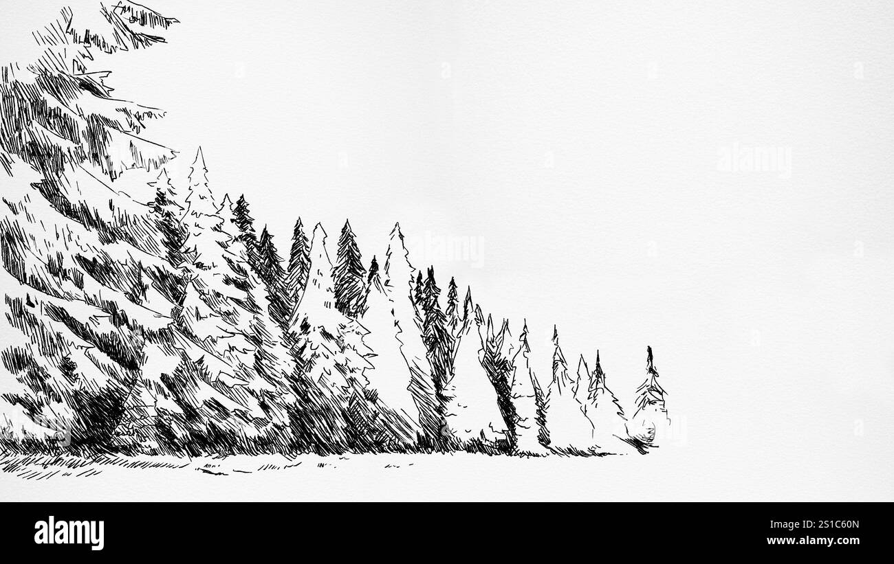 Nature drawing Pine forest hand background sketch Stock Photo - Alamy