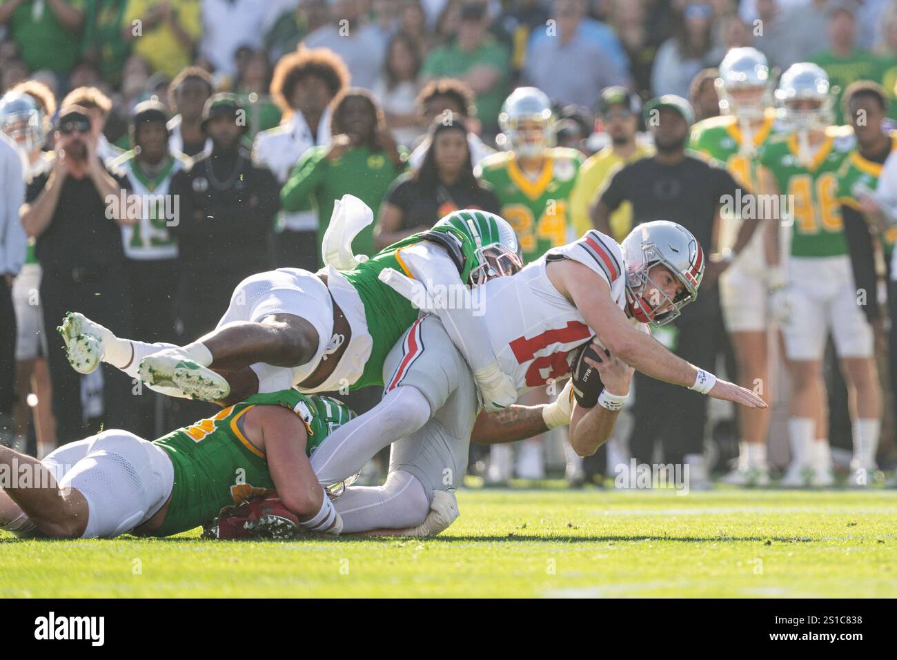Teitum tuioti hi-res stock photography and images - Alamy