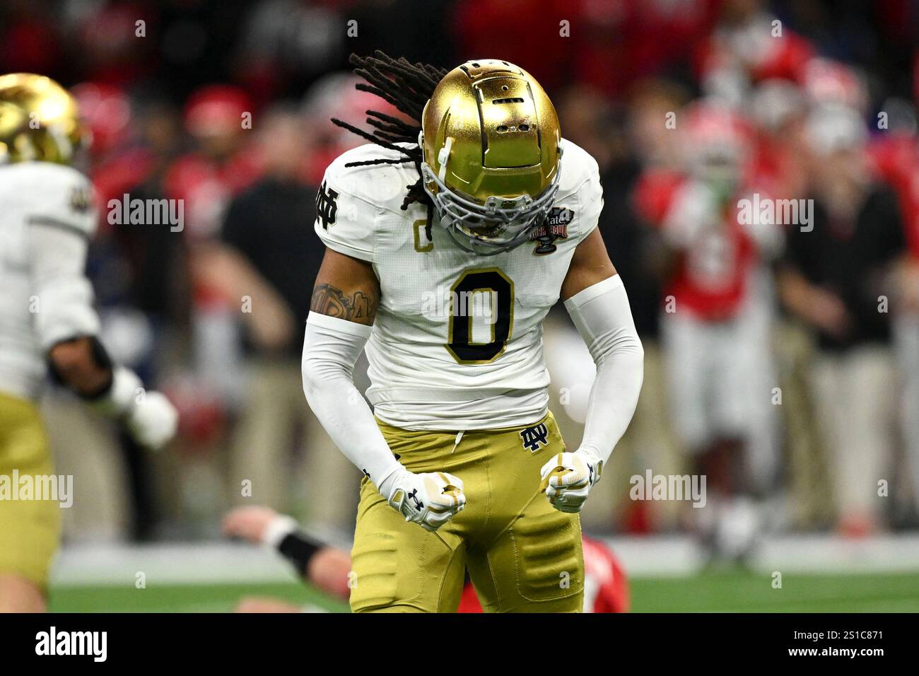 Notre Dame safety Xavier Watts celebrates after a defensive stop during ...