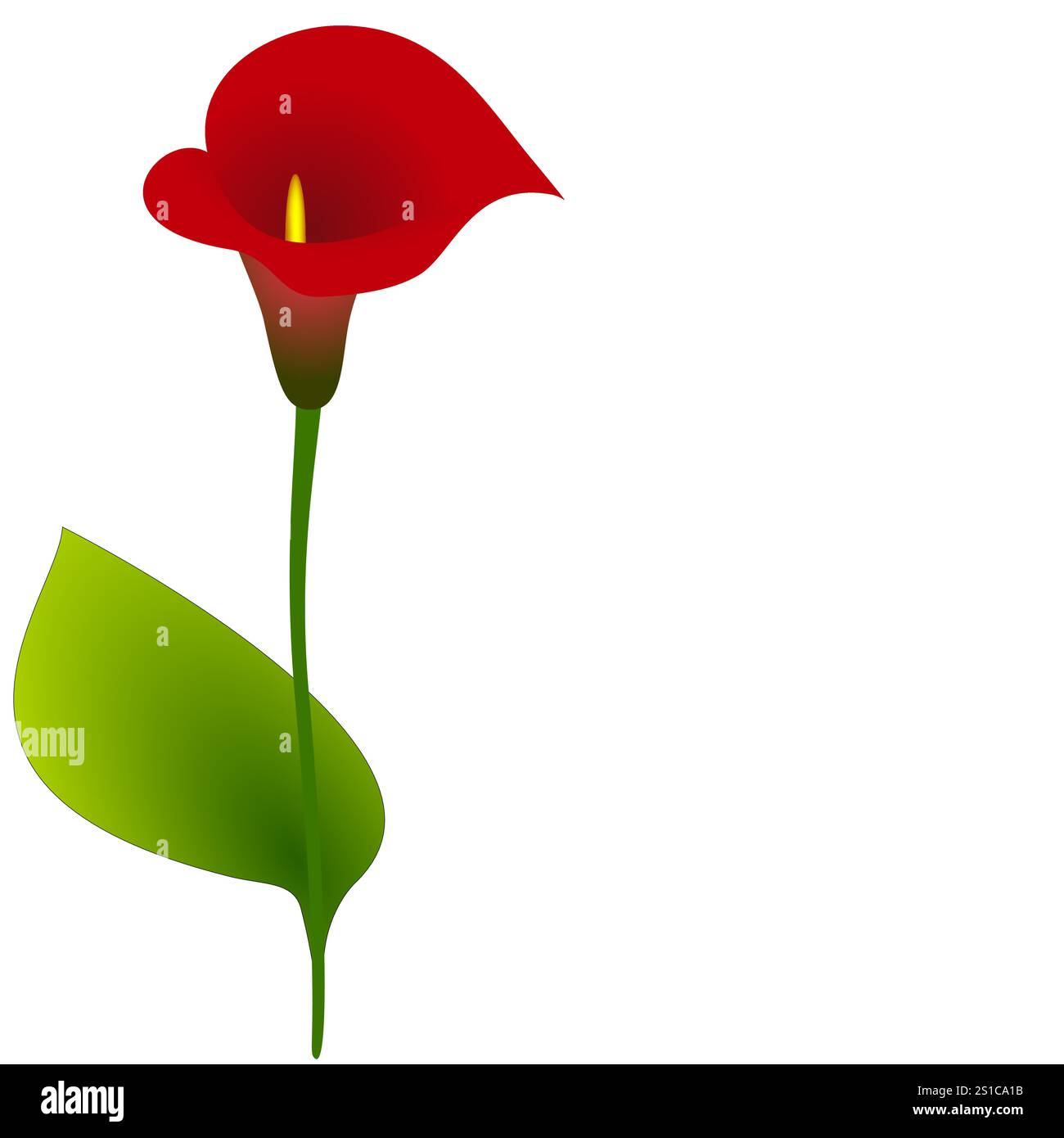 Background with calla, design element Stock Vector Image & Art - Alamy