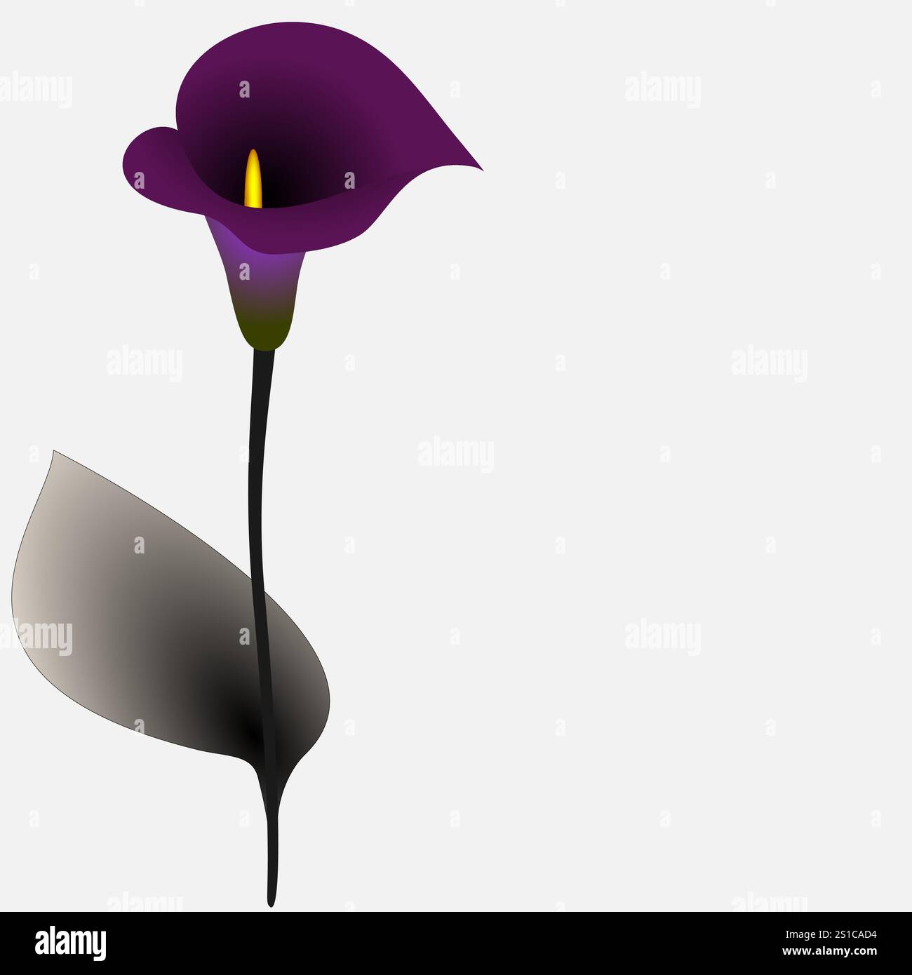 Floral background with calla lilies, design element Stock Vector Image ...