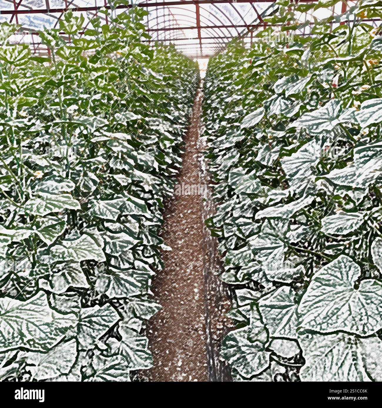 modern pattern studies, manipulation background, photoshop manipulation ...